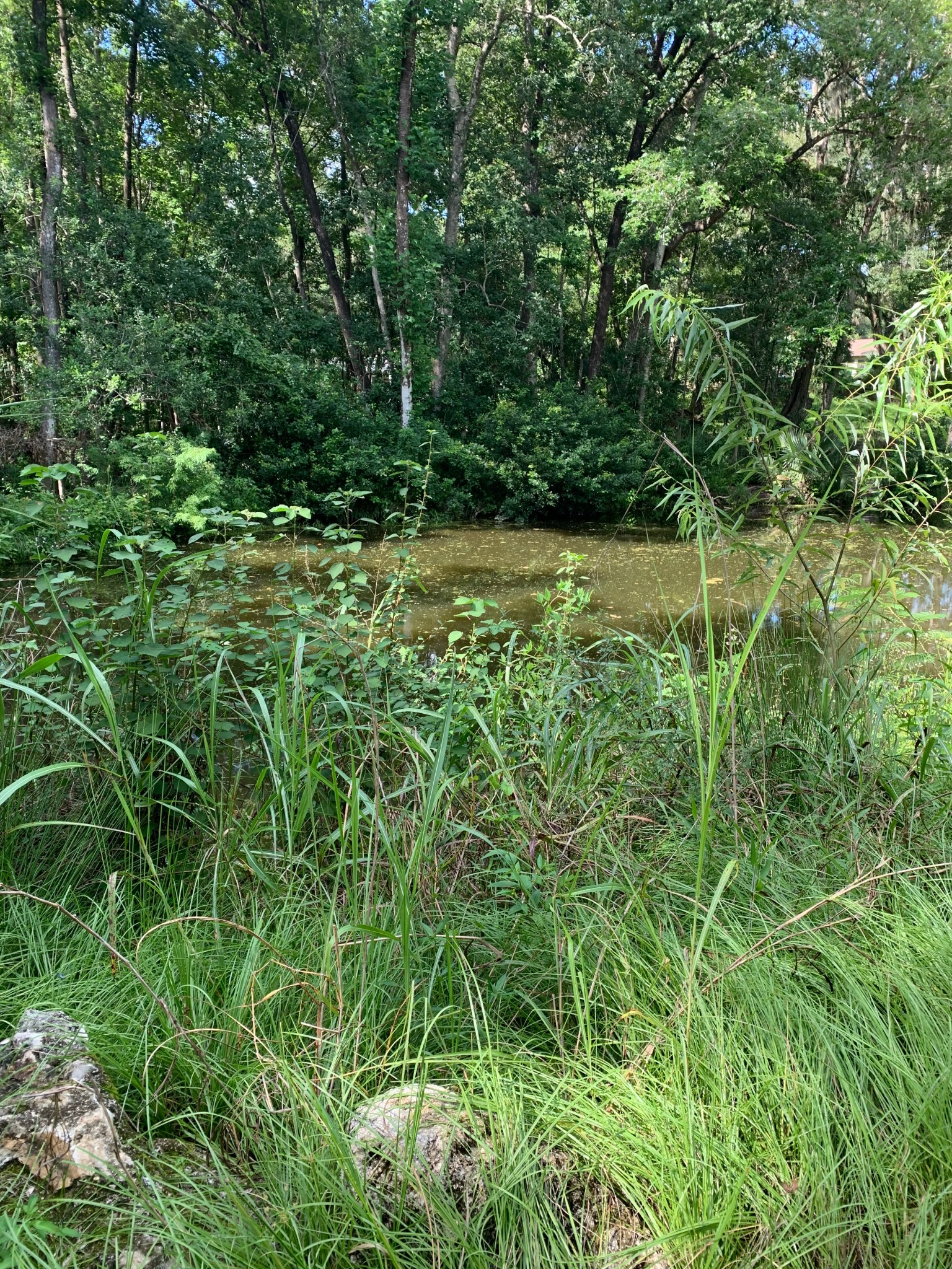 The Ocala…Fort King – Tripping on Legends…